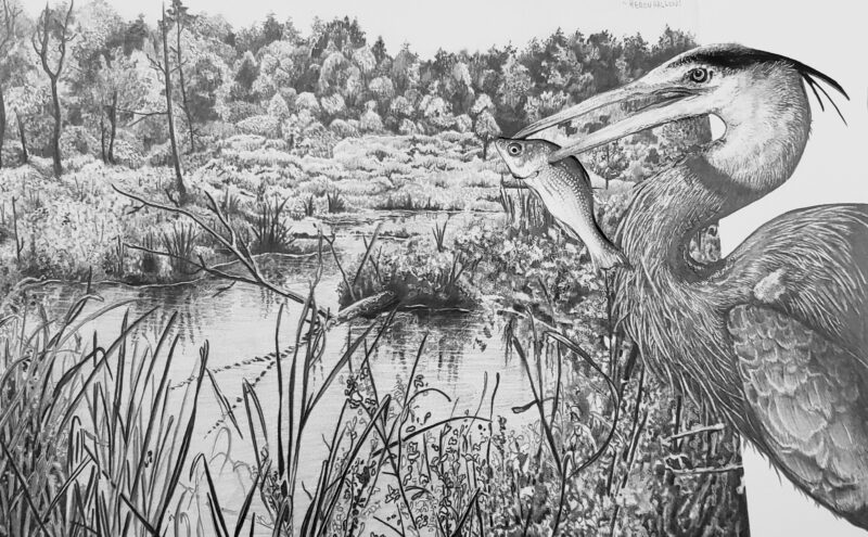 Crary Art Gallery to open exhibition Saturday | News, Sports, Jobs ...